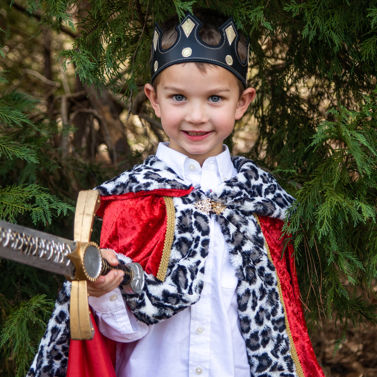 The Majestic Coronation of King Charles: A Cloak Fit for a Monarch ...